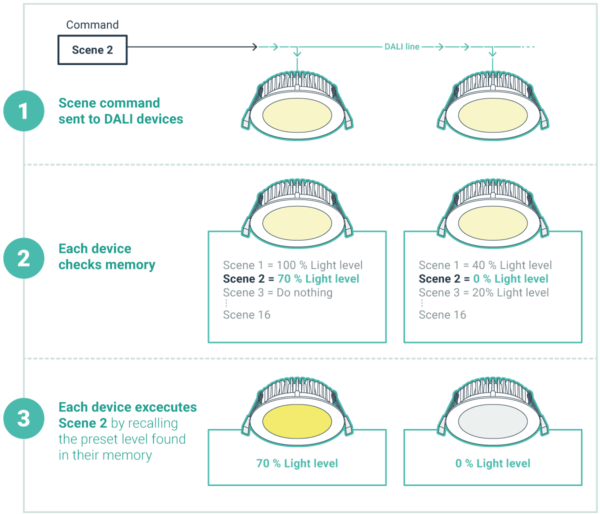 DALI scenes & groups | zencontrol